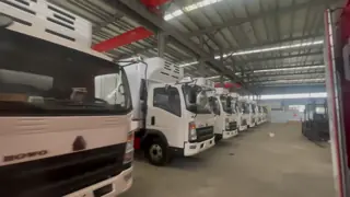 HOWO Freezer Truck
