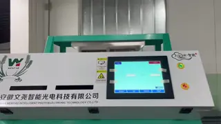 Hazelnut Color Sorter