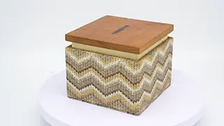 Portable Luxury Watch Box, Shockproof Protective Storage Case for Travel & Daily Use