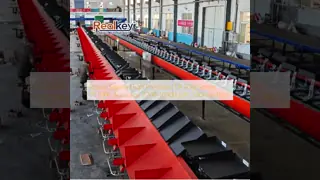 High Precision Tilt Tray Sorter 99.99 Percent Accuracy