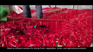 DW Belt Dryer Machine