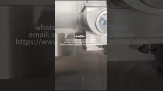 Industrial Roller Compactor for Powder Processing