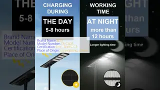Premium All in One Solar Street Light Smart Outdoor Lighting