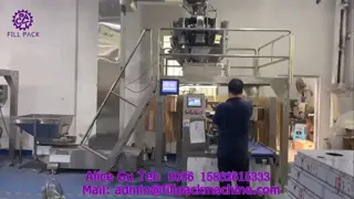 2275 J69 Rotary Bag-Feeding Coffee Bean Filling and Sealing Machine