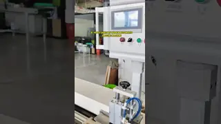 Automatic Sanitary Napkin Bagging Sealing Machine