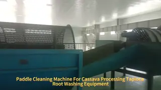 High Capacity Cassava Paddle Cleaning Machine