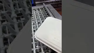 Commercial dishwasher in operation for cleaning large plates with inclined insertion