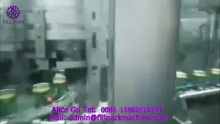 2290 L17 36-6 Automatic Can Filling and Sealing Machine