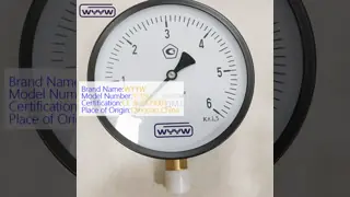 Dazefengyang Industrial Black Steel Pressure Gauge 160mm