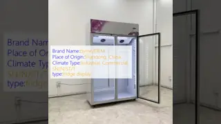 Professional Floral Display Cooler for Fresh Flower Shops