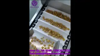 2287 J125 Rotary Bag-Feeding Chestnut Filling and Sealing Machine