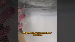 UV Resistant Tearproof Insect Net for Vegetables & Fruits | Anping Chuangyi Hardware Manufacturer