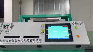 WYCS2-128 Hazelnut Color Sorter | Premium Nut Sorting Machine for Georgia Market