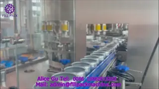 2289 L17 12-4 Automatic Can Filling and Sealing Machine
