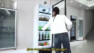 Best Glass Door Upright Freezer for Retail Display