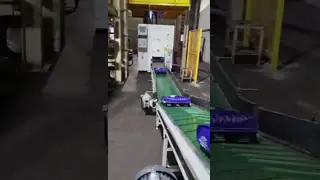High Bag Palletizing