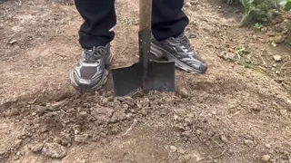 Easy  Lawn Edging DIY Garden Border Tutorial