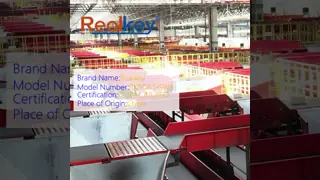 High Speed Swivel Wheel Sorter for Warehouse Automation