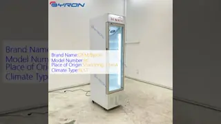 Commercial Vertical Display Freezer for Supermarkets
