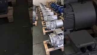 Aluminum 0.18KW-315KW Ac Three Phase Electric Motor