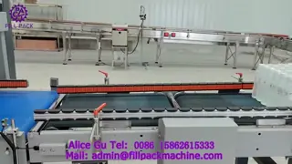 2301 P42 Gantry Palletizer