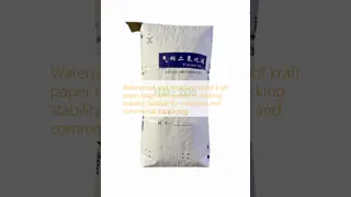 Durable Kraft Paper Valve Bags for Industrial Packaging