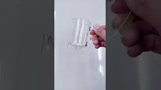 Premium 6 Piece Lead Free Glass Coffee Cup Set