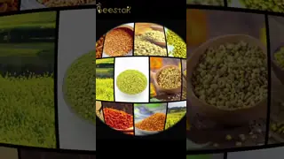 Organic Raw Bee Pollen Natural Energy and Wellness