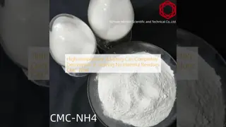 Ammonium CMC Binder for High Performance SCR Catalysts
