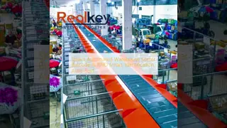 Smart Automated Warehouse Sorter Boost Efficiency