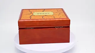 Dust-Proof Watch Display Box, Multi-Functional Timepiece Storage Case for Home Use