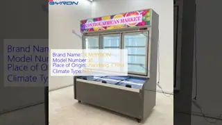 Customizable Commercial Glass Door Coolers for Retail