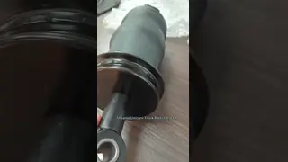 Air spring shock absorbers