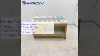 Commercial Countertop Refrigerator for Hotpot Stations