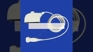 Mindray V11 3s Ultrasound Probe for MX7 Gynecology