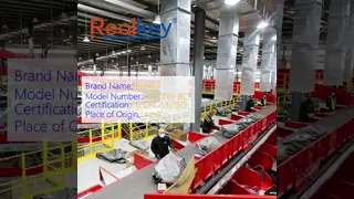 Custom Warehouse Belt Conveyor for Efficient Logistics