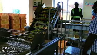 Complete Mango Processing Line Turnkey Factory Solution