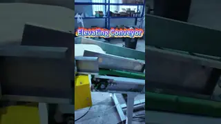 Excellent High Bag Palletizing Solution for 25 50kg Bags in Feed Industry
