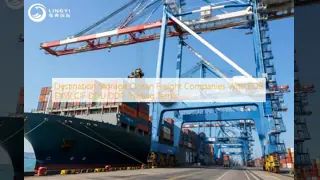 China Ocean Freight DDP Shipping for Oversized Cargo