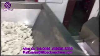 2284 J122 Vertical Film-Winding Bag-Making Back-Sealing Frozen Dumpling Packaging Machine