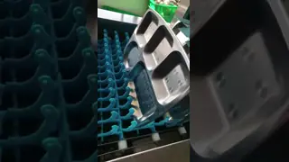 Large dinner plate commercial dishwasher cleaning in progress