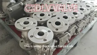 Swing Check Valve Flange Connection PN16