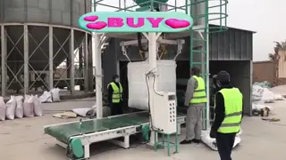 Automatic Ton Bag Powder Packing Machine QNDS-2000