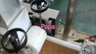 Testing video for Papa Small P320 Peanut Brittle Bar Forming And Cutting Machine