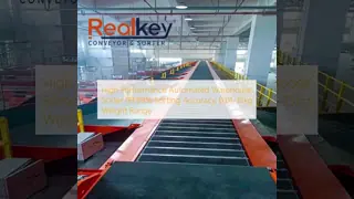 High Performance Automated Warehouse Sorter 99.99 Accuracy