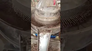 Biomass Pellet Machine Processing Mixed Materials