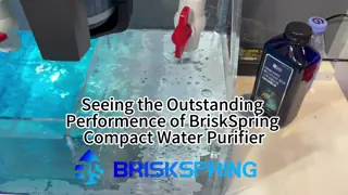 Seeing the Outstanding Performance of BriskSpring Compact Water Purifier