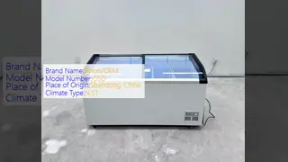Professional Curved Glass Ice Cream Freezer Display