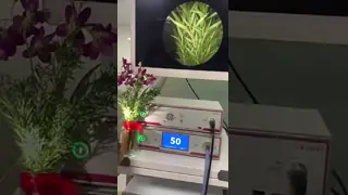 Light Source Machine