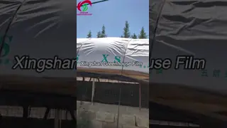 Black and White Greenhouse Film Shade Greenhouse Film